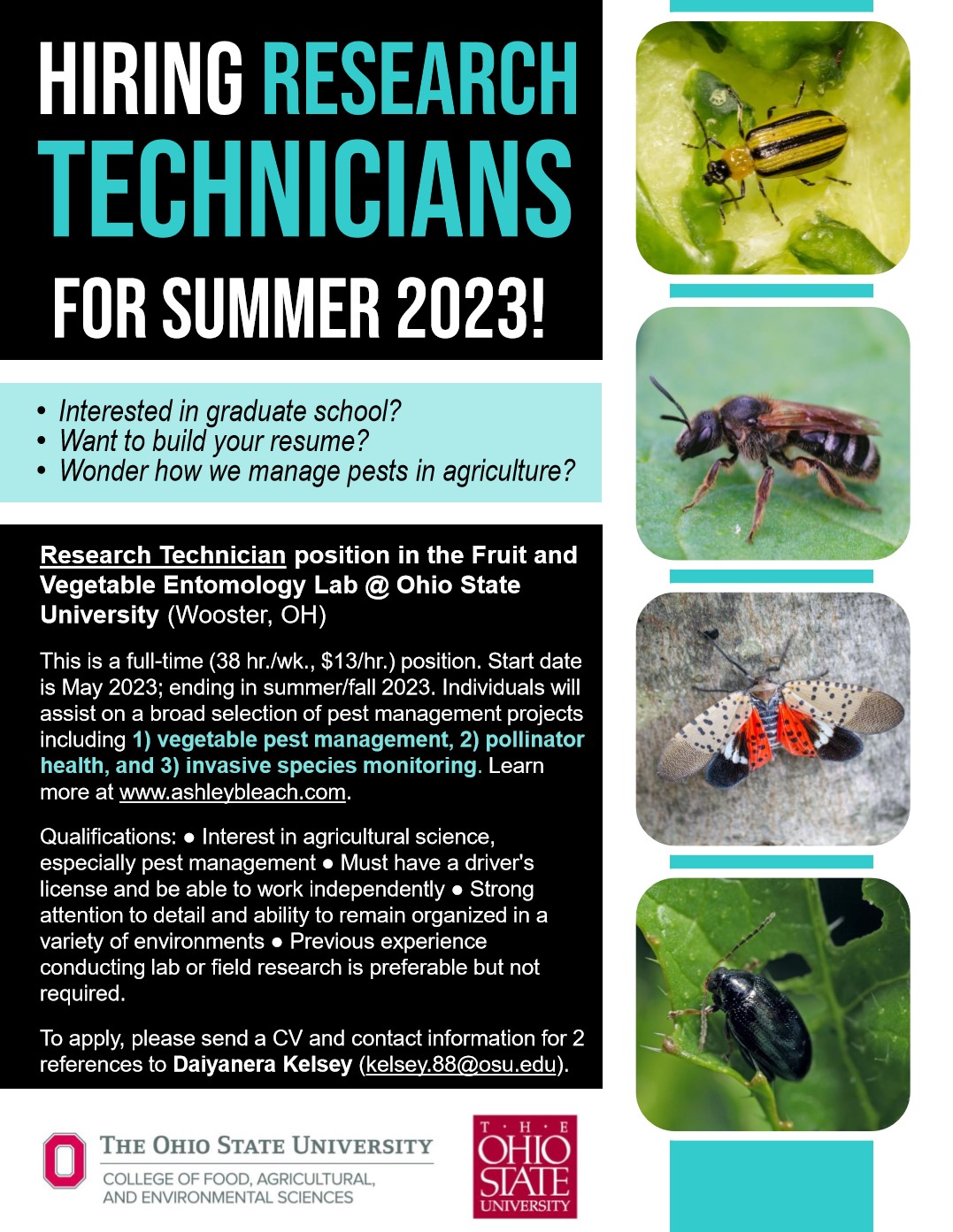 Opportunities – Department of Biology