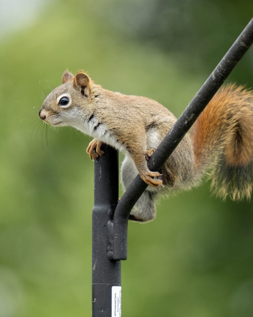 Staff – Technology@Wooster